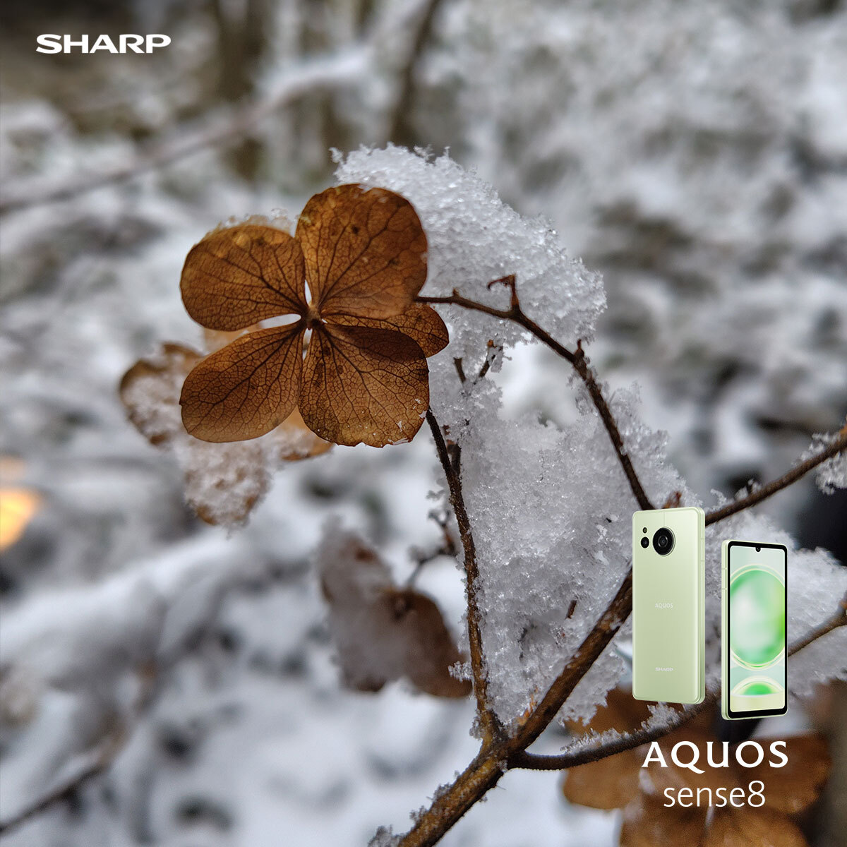 日本安卓手機銷售 No.1 ！ SHARP AQUOS sense8 台灣上市宣傳 - JK2U